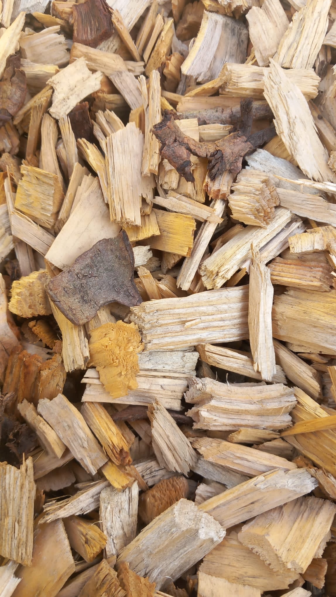 Landscape bark | Gills Building Supplies